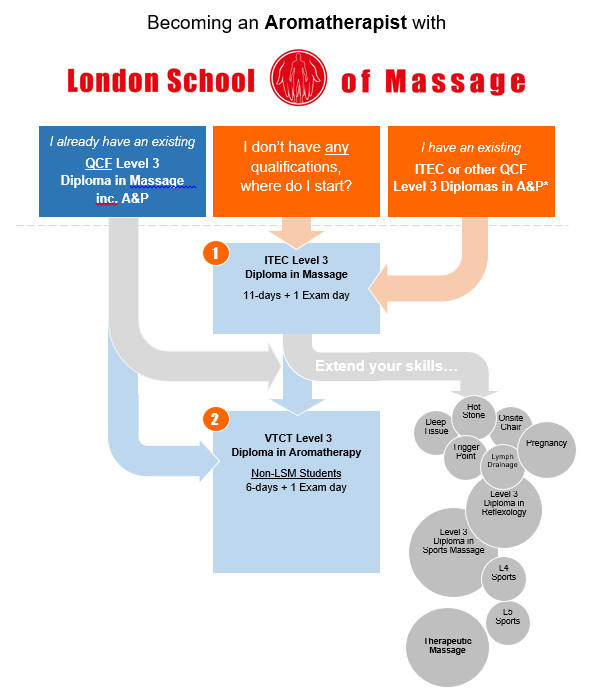 Getting Started as a Massage Therapist | Massage Training Courses